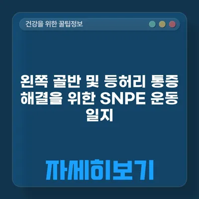 왼쪽 골반 및 등허리 통증 해결을 위한 SNPE 운동 일지 - 클립뉴스